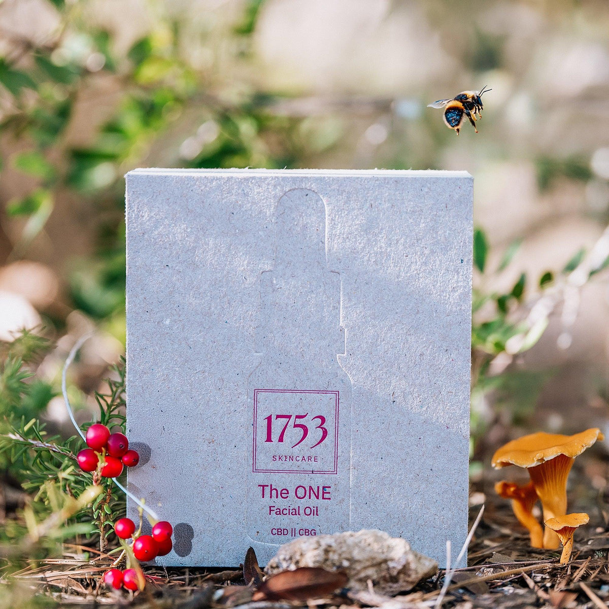 The ONE Facial Oil || 1753 SKINCARE